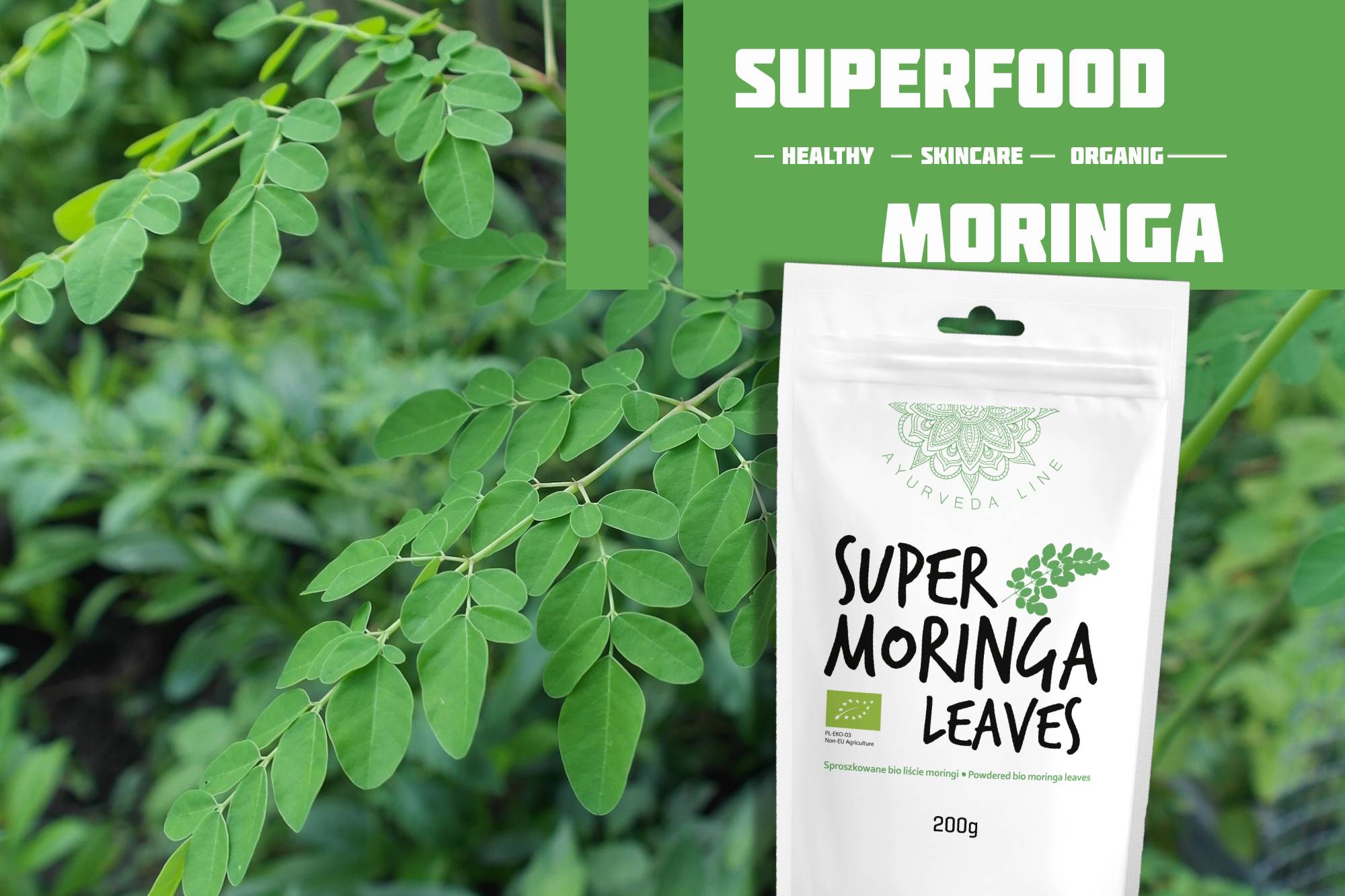 Moringa: Superfood mit essentiellen Nährstoffen | Fatburning Beast ...
