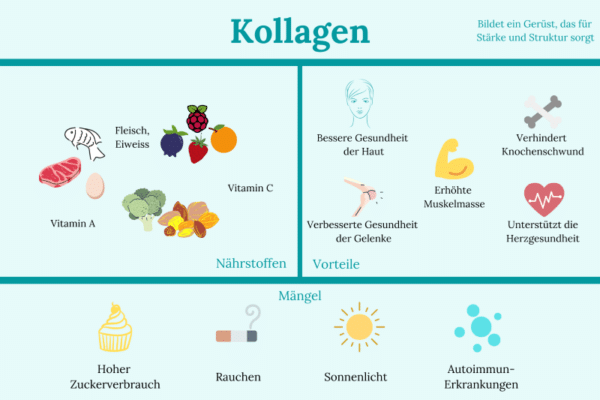 Kollagen Pulver: Funktion, Anwendung & Vorteile von Collagen